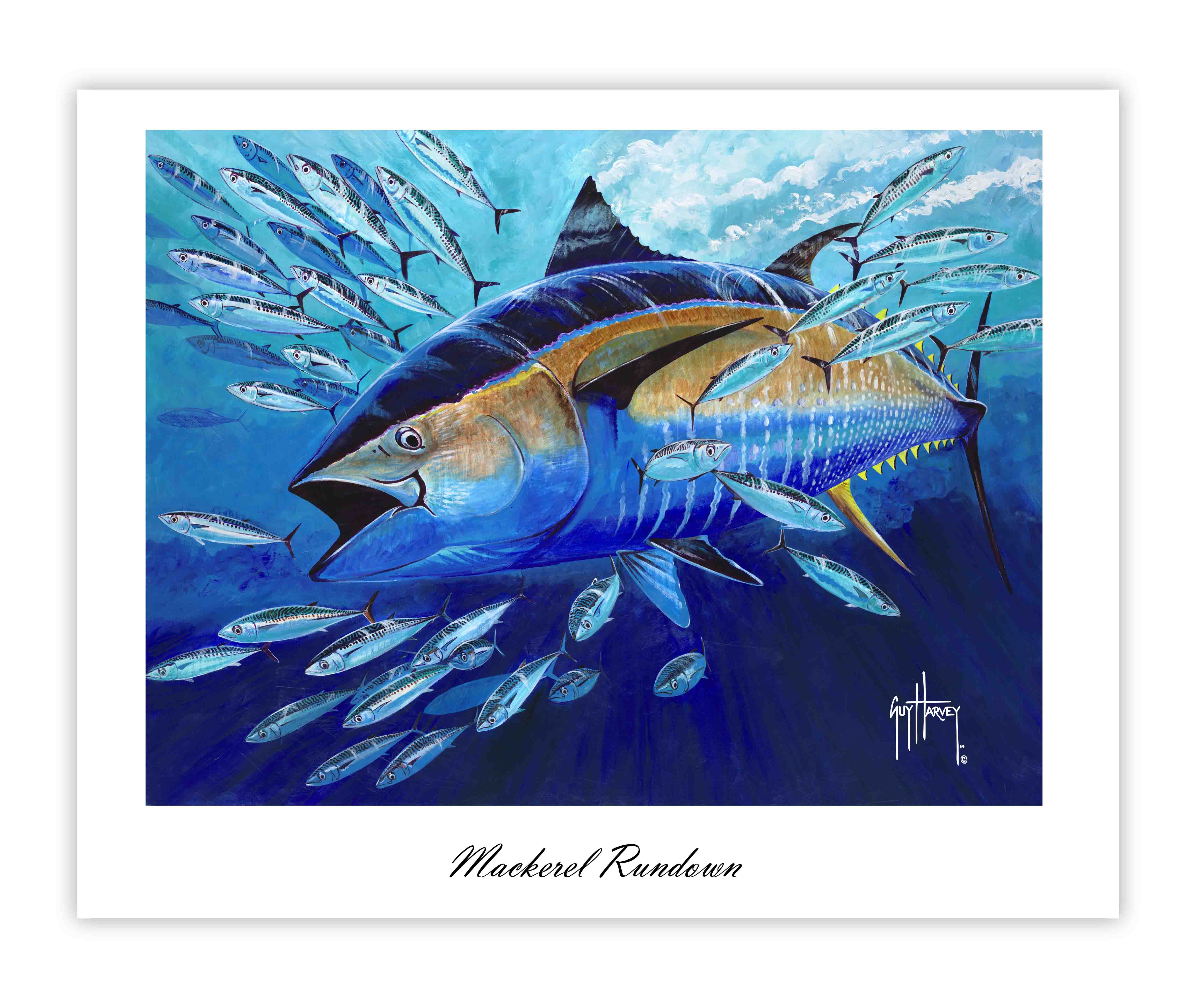 "Mackerel Rundown" Limited Edition Lithograph – Guy Harvey