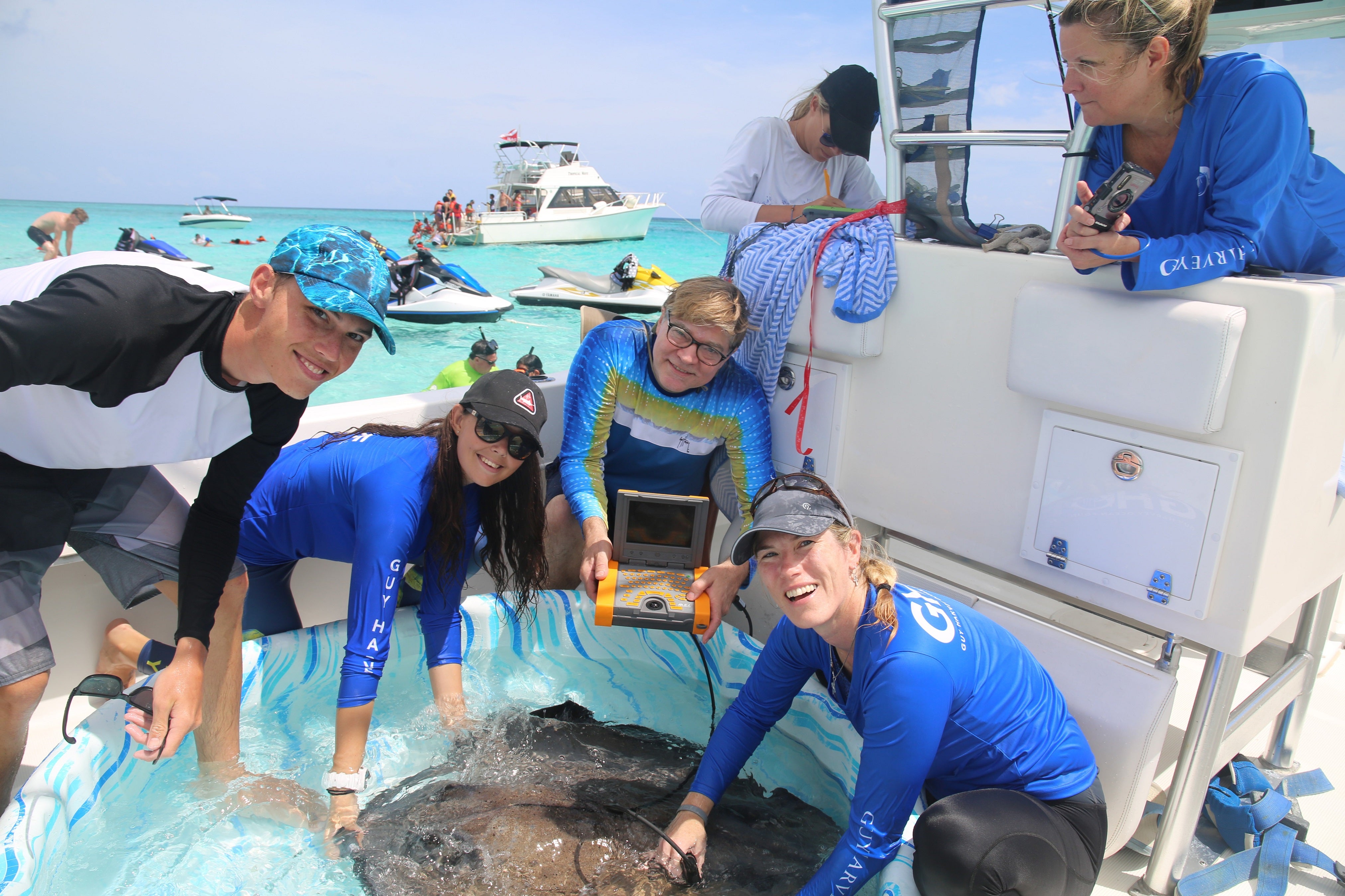 GHOF SOUTHERN STINGRAY CENSUS RESULTS – Guy Harvey