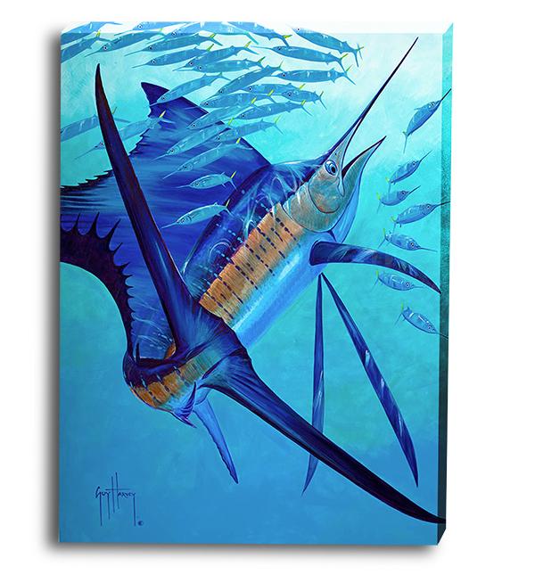 Museum Wrap – Guy Harvey
