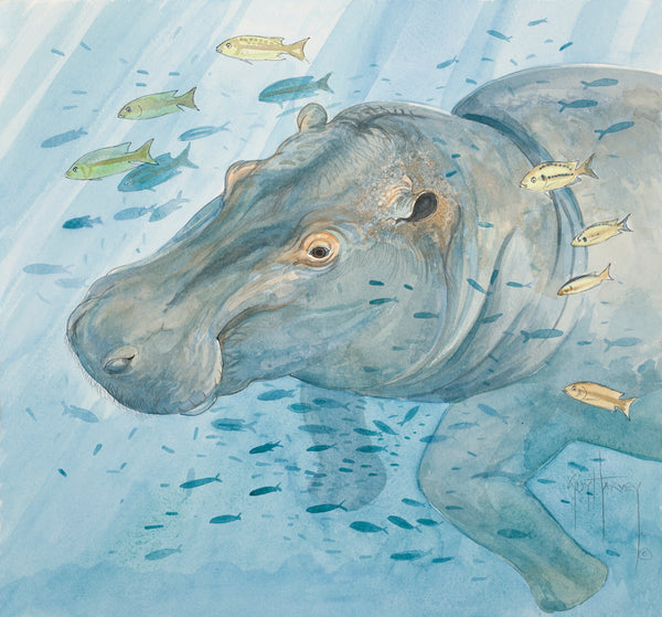 "Hippo Underwater" Original – Guy Harvey