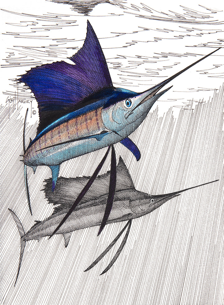 Original Artwork: Marine Wildlife & Fish Art | Guy Harvey – Guy Harvey