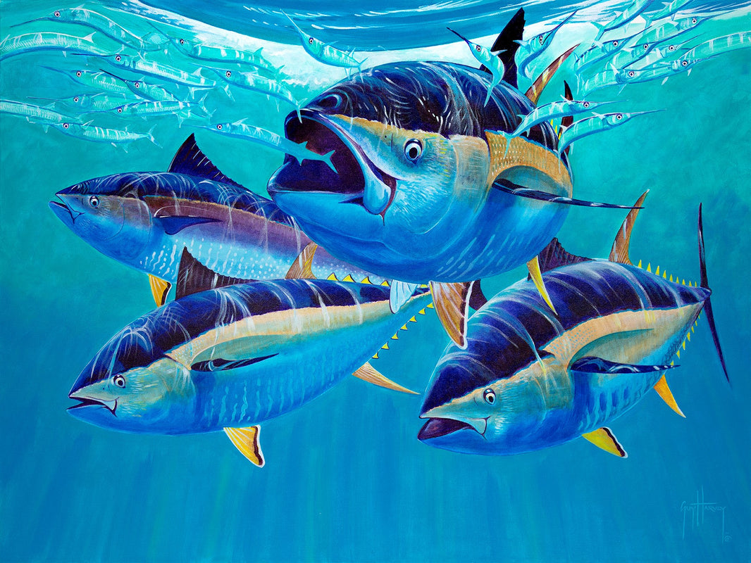 Original Artwork: Marine Wildlife & Fish Art | Guy Harvey – Guy Harvey