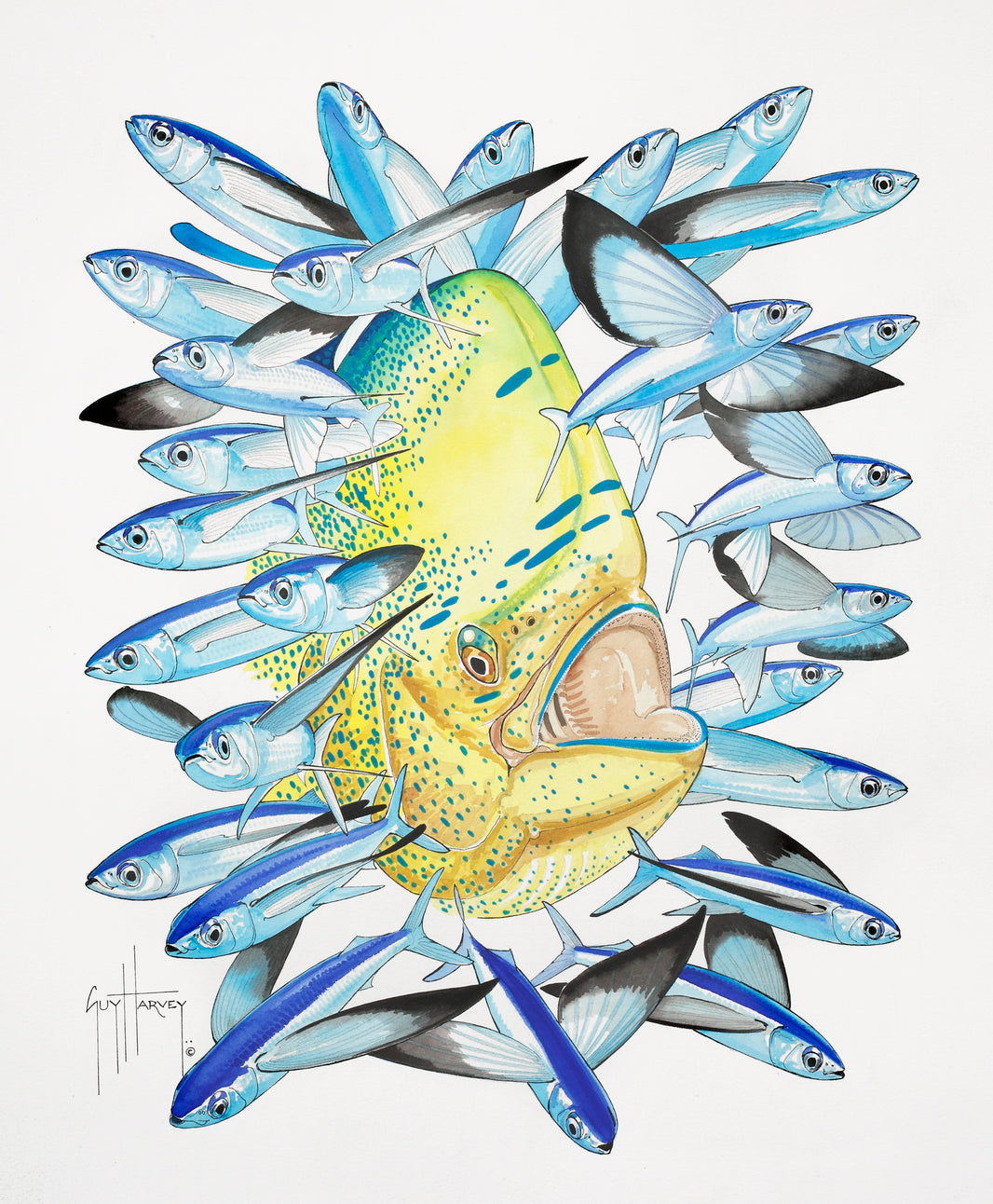 Original Artwork: Marine Wildlife & Fish Art | Guy Harvey – Guy Harvey