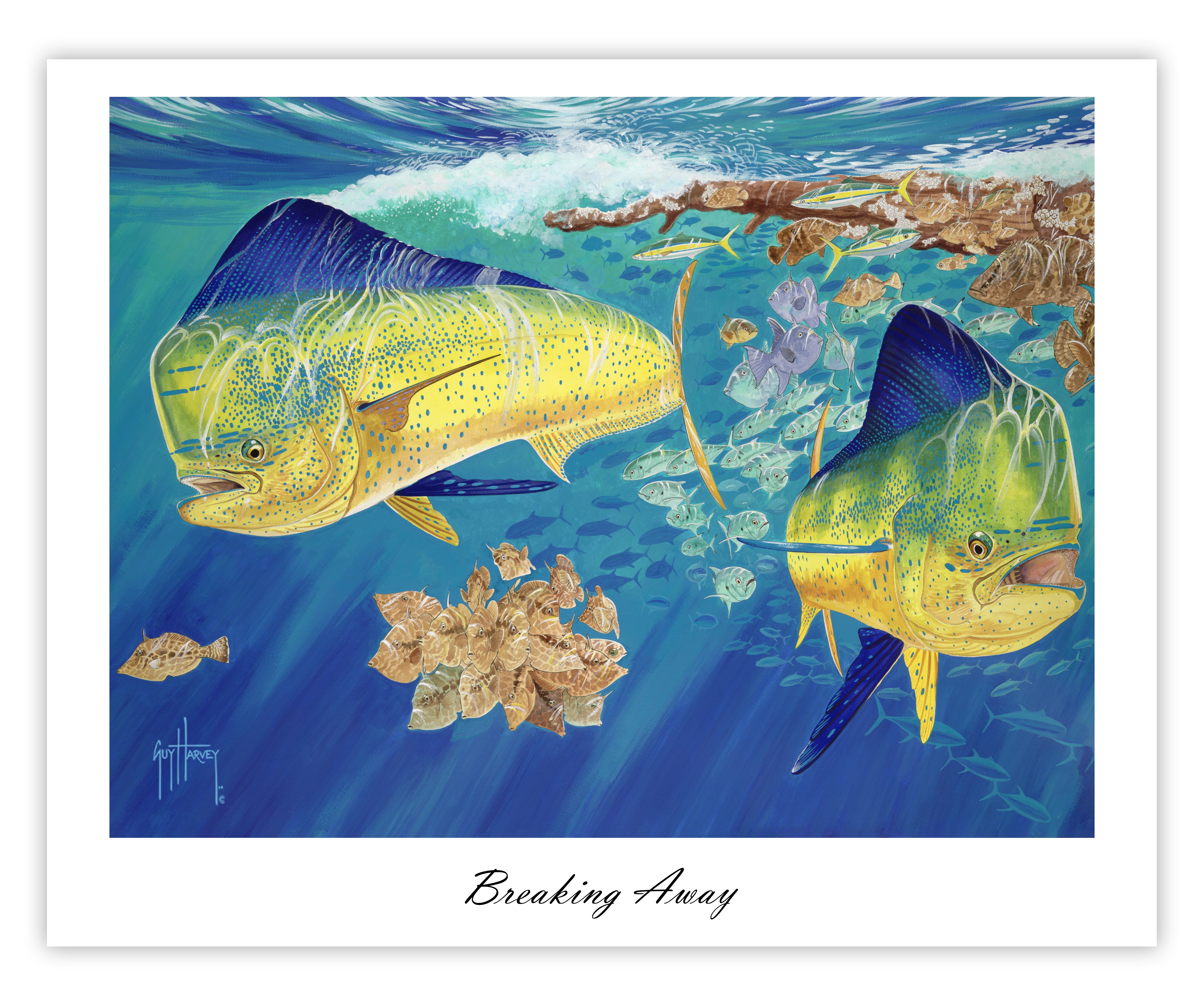 "Breaking Away" Limited Edition Lithograph – Guy Harvey