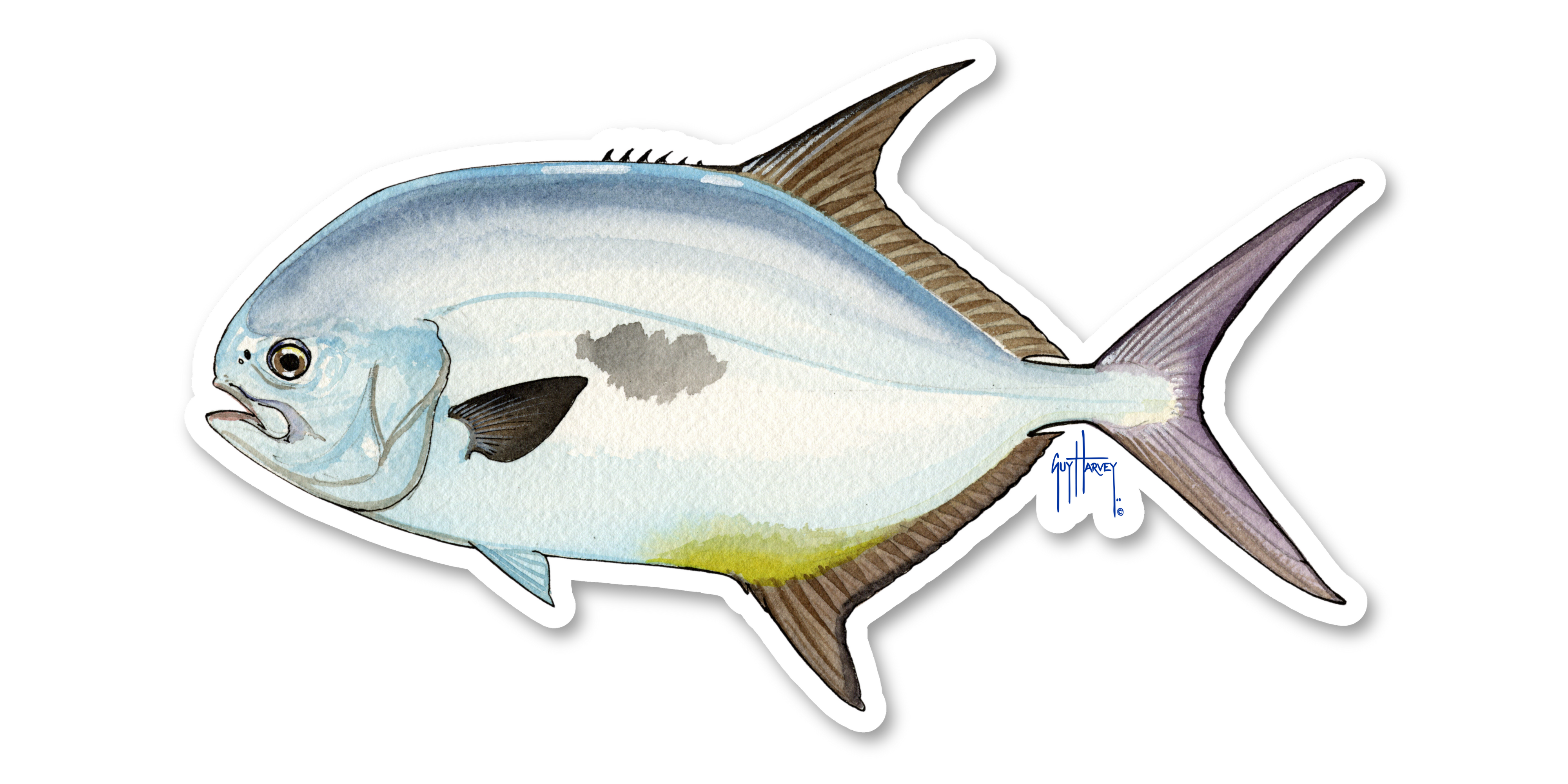 Permit Decal – Guy Harvey