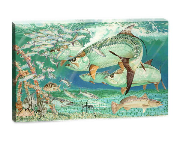 "King of Flats" Small Canvas Art – Guy Harvey