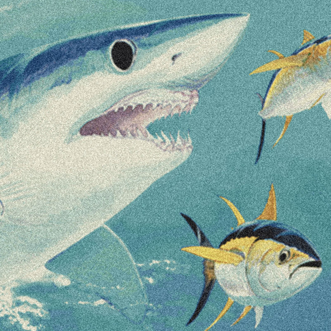 Area Rugs - Guy Harvey – Guy Harvey