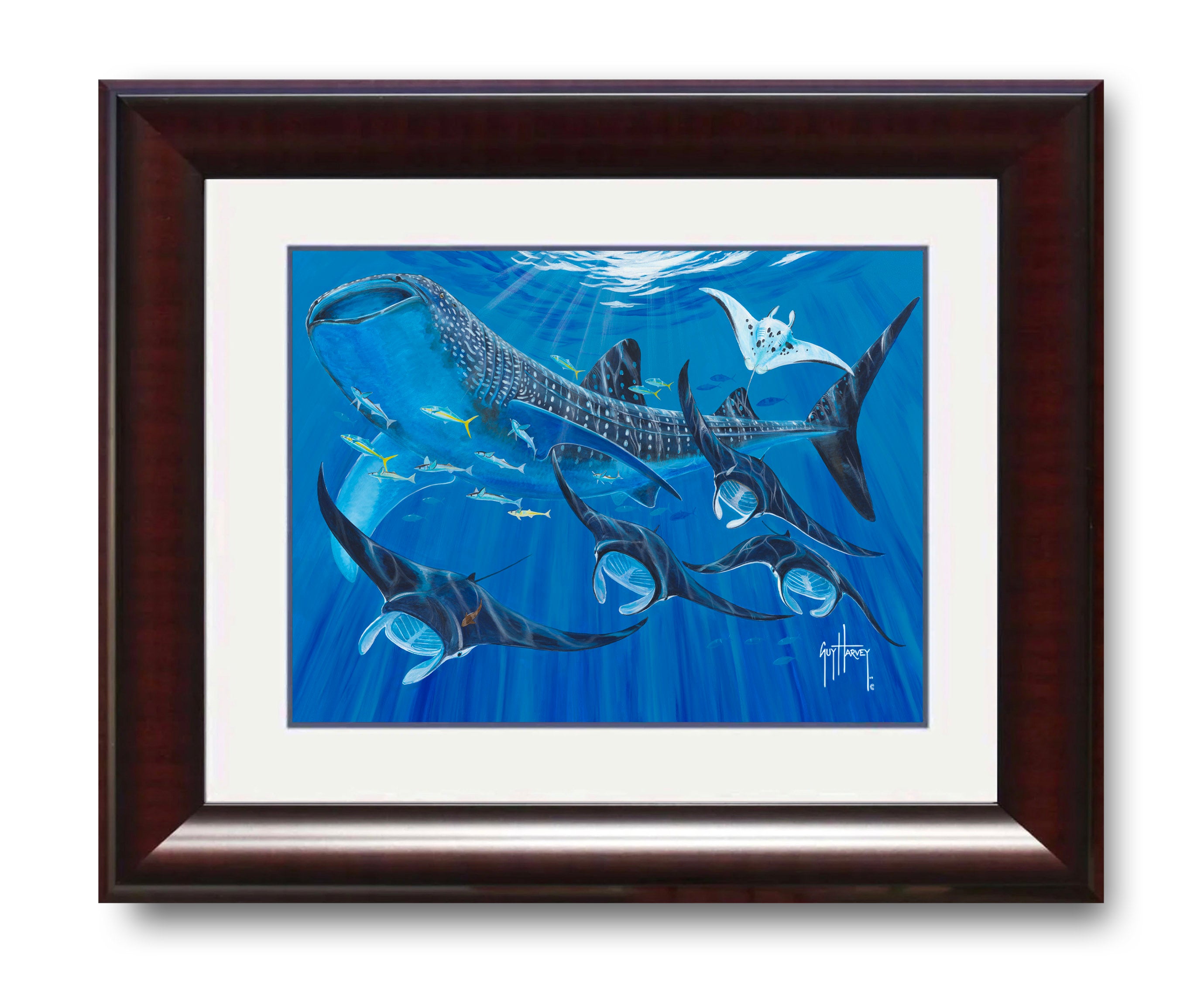 "Manta Train" Mini Print – Guy Harvey