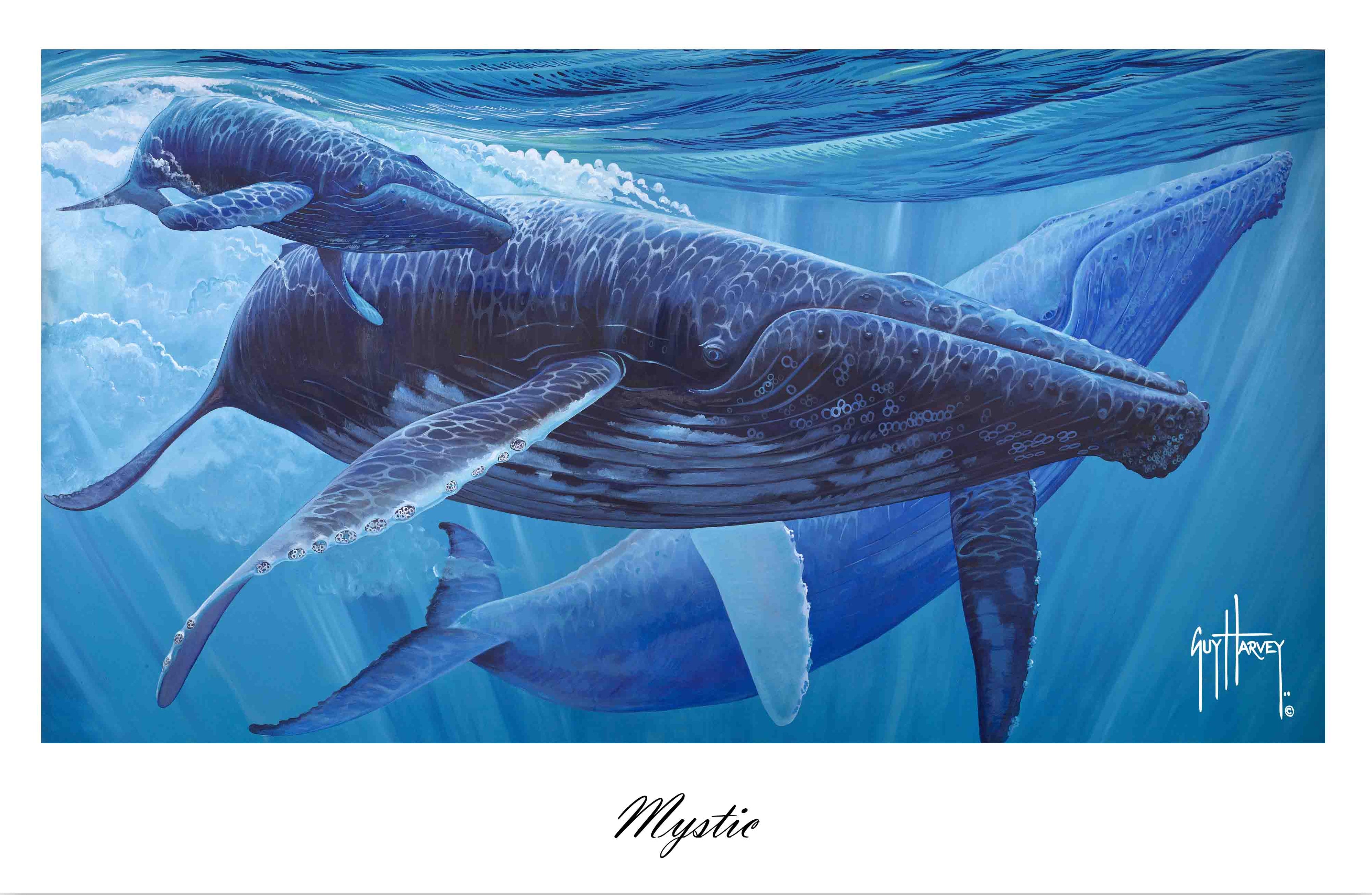 "Mystic" Limited Edition Lithograph – Guy Harvey