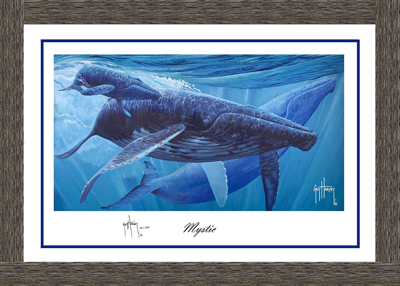 "Mystic" Limited Edition Lithograph – Guy Harvey