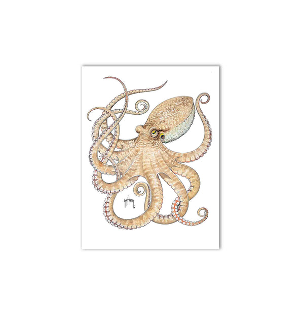 "Octopus II" Limited Edition Print – Guy Harvey