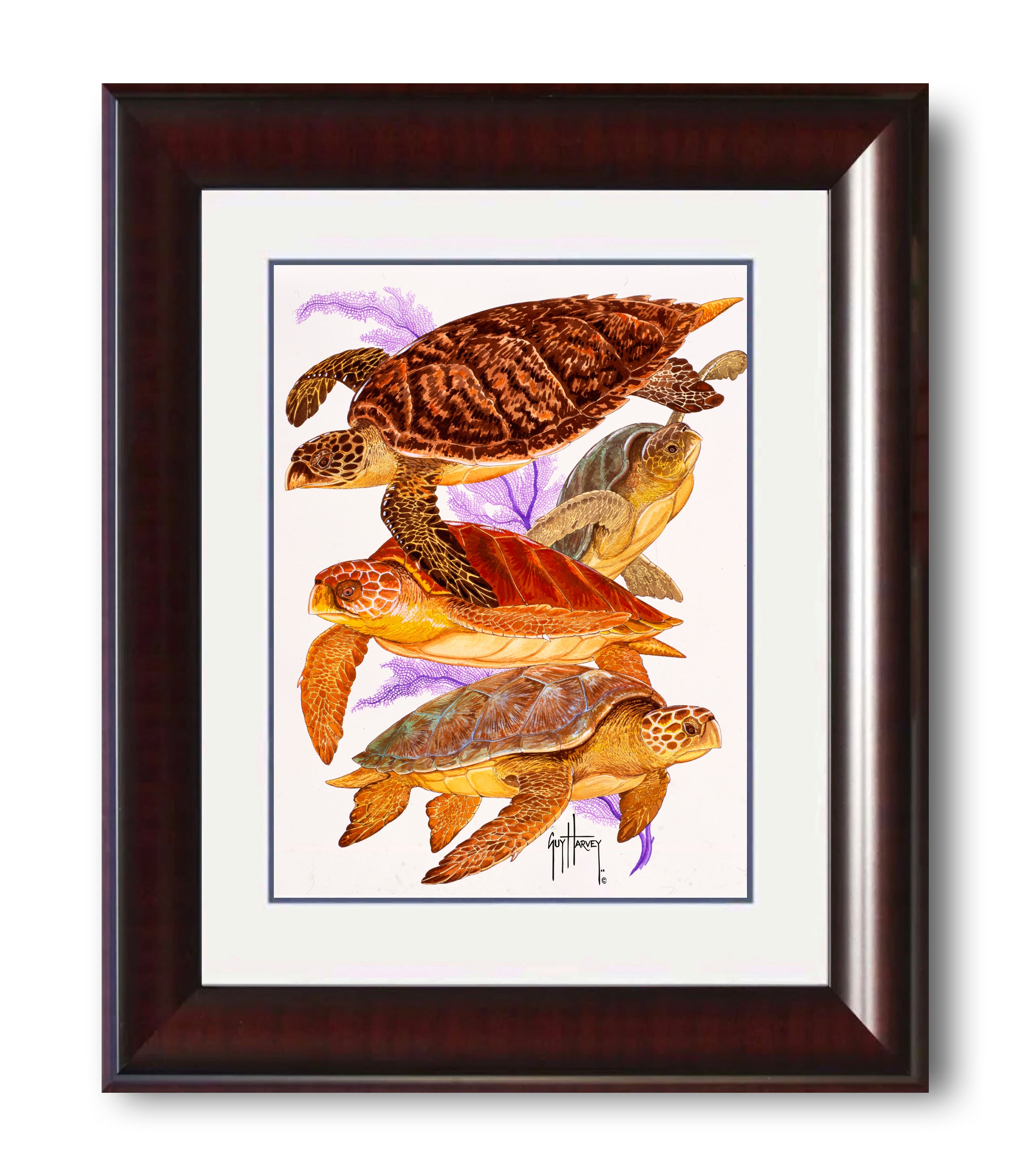 "Turtle Collage" Mini Print – Guy Harvey