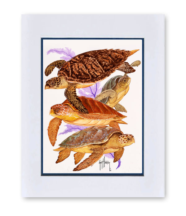 "Turtle Collage" Mini Print – Guy Harvey