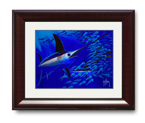 "Squid Row" Grande Mini Print – Guy Harvey