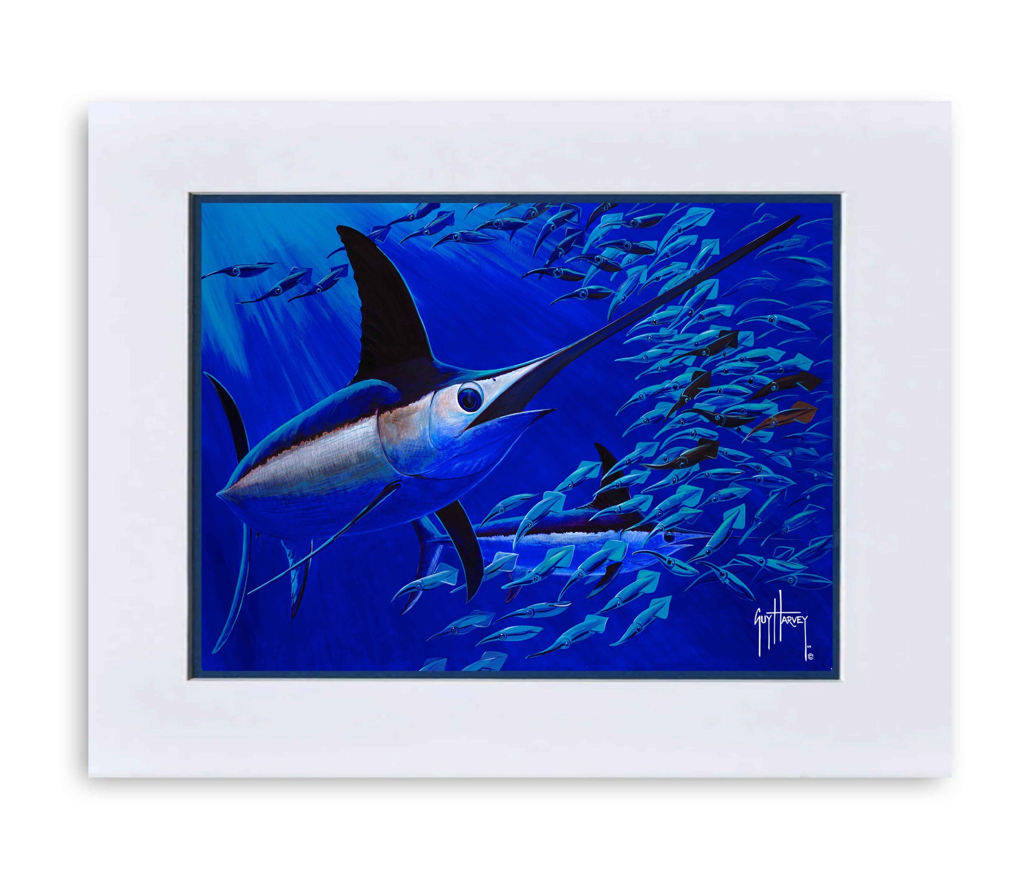 "Squid Row" Grande Mini Print – Guy Harvey