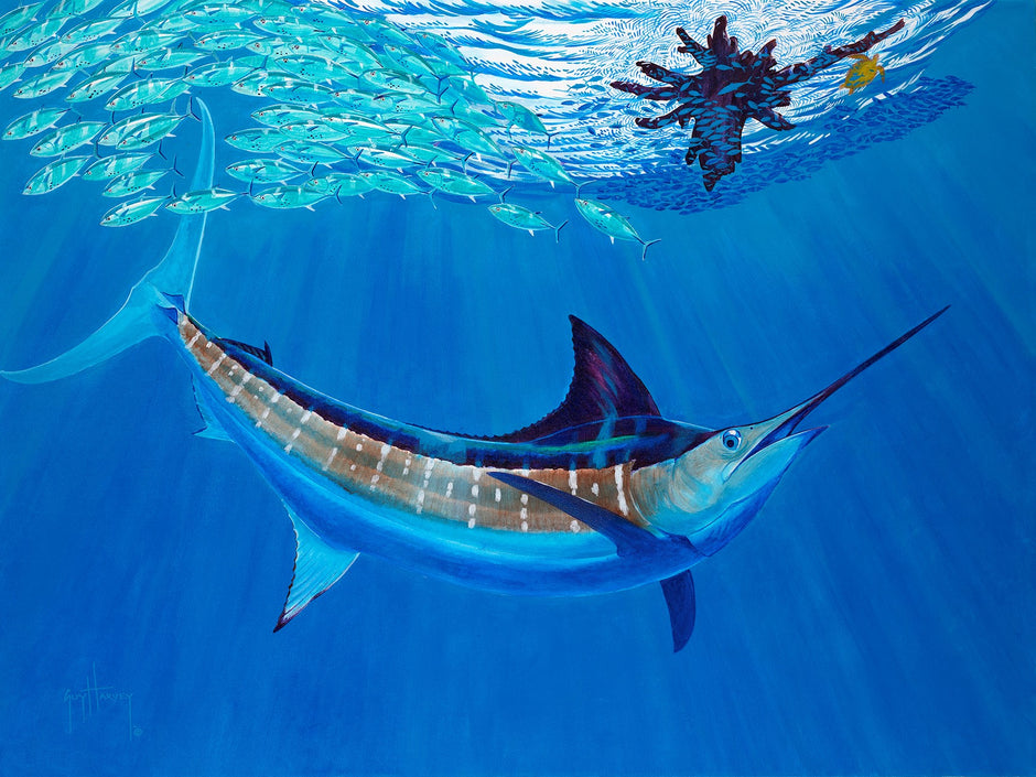 Original Artwork: Marine Wildlife & Fish Art | Guy Harvey – Guy Harvey