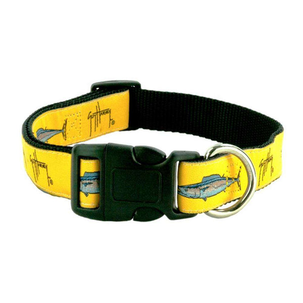 WAHOO DOG COLLAR – Guy Harvey