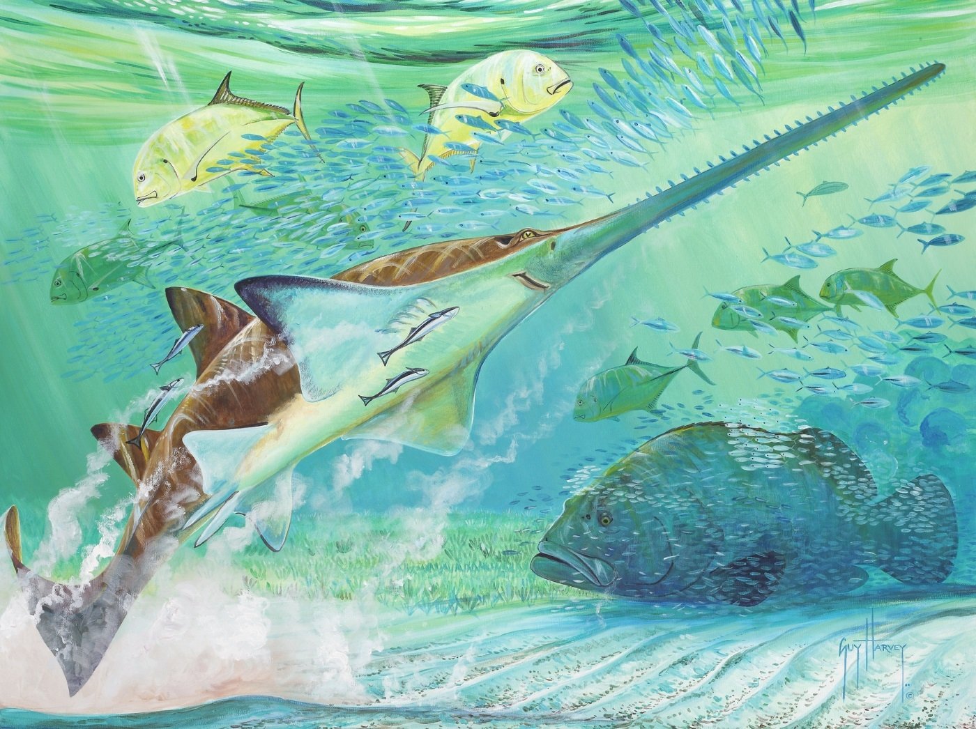 Original Artwork: Marine Wildlife & Fish Art | Guy Harvey – Guy Harvey