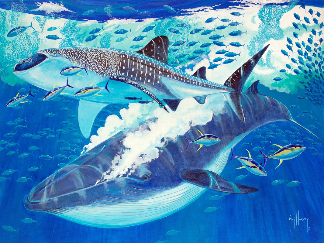 Original Artwork: Marine Wildlife & Fish Art | Guy Harvey – Guy Harvey