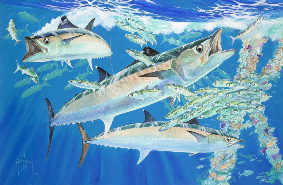 Original Artwork: Marine Wildlife & Fish Art | Guy Harvey – Guy Harvey