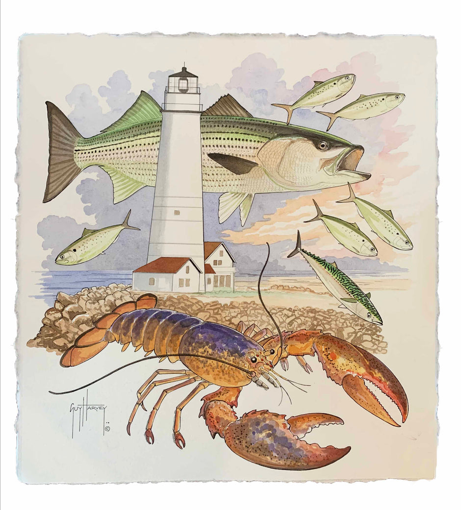 Original Artwork: Marine Wildlife & Fish Art | Guy Harvey – Guy Harvey