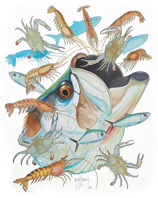 "Tarpon Head" Original – Guy Harvey