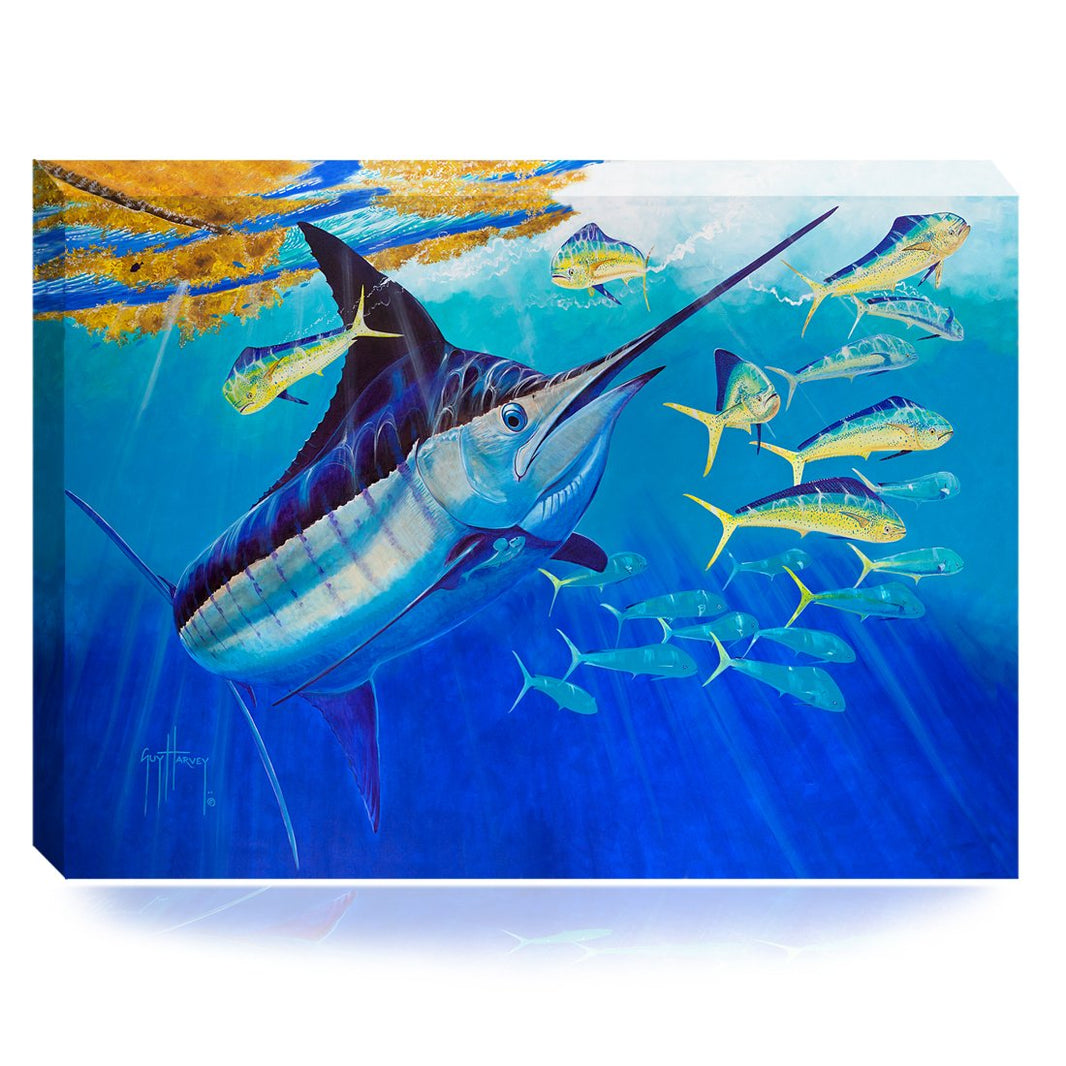 Original Artwork: Marine Wildlife & Fish Art | Guy Harvey – Guy Harvey