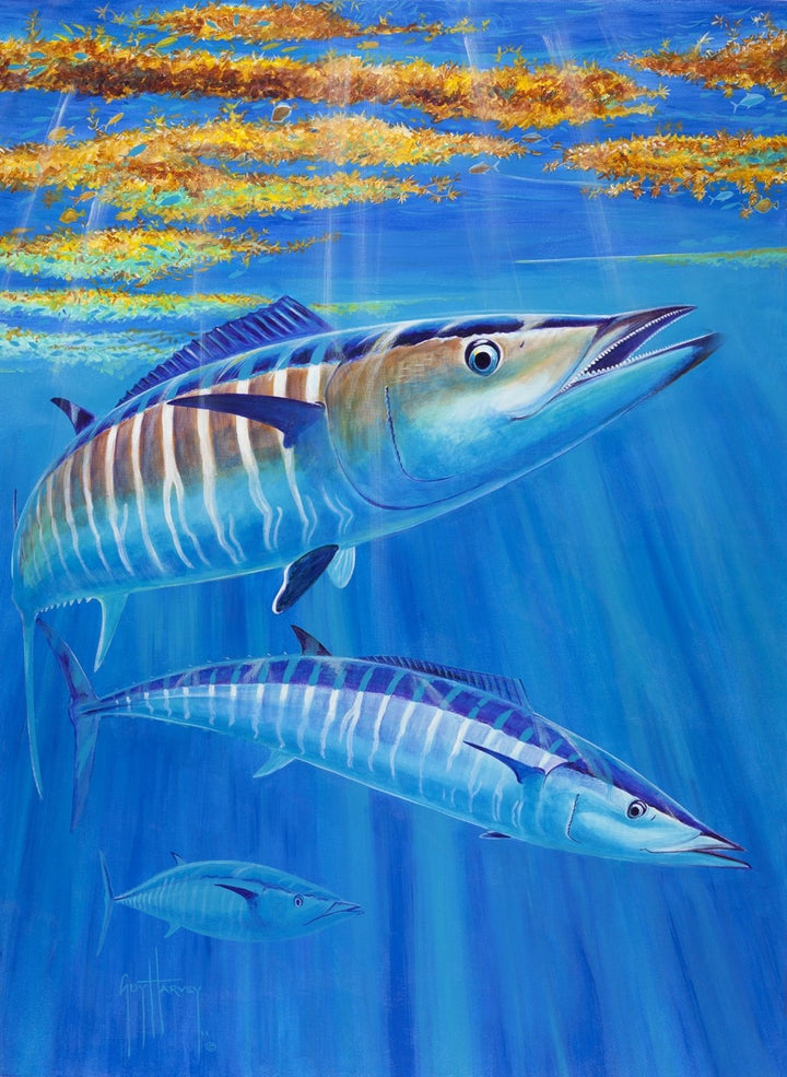 Original Artwork: Marine Wildlife & Fish Art | Guy Harvey – Page 2 ...