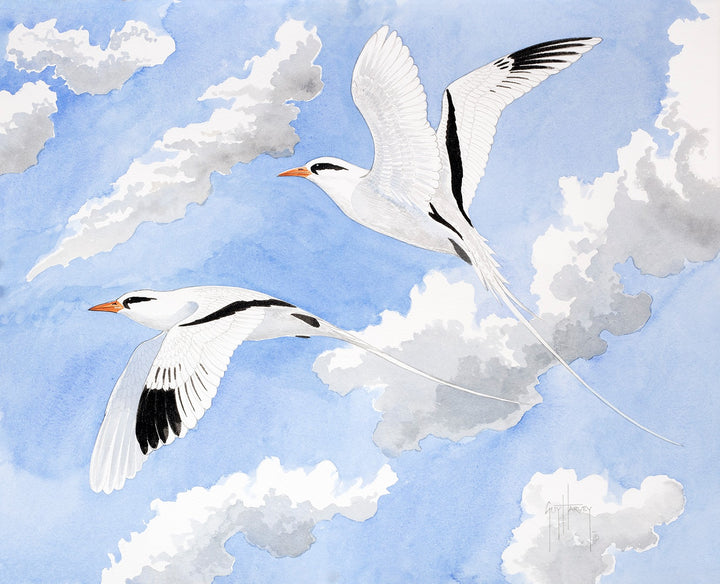 Original Artwork: Marine Wildlife & Fish Art | Guy Harvey – Guy Harvey