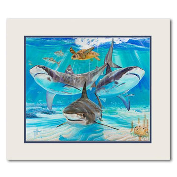 Guy Harvey Artwork
