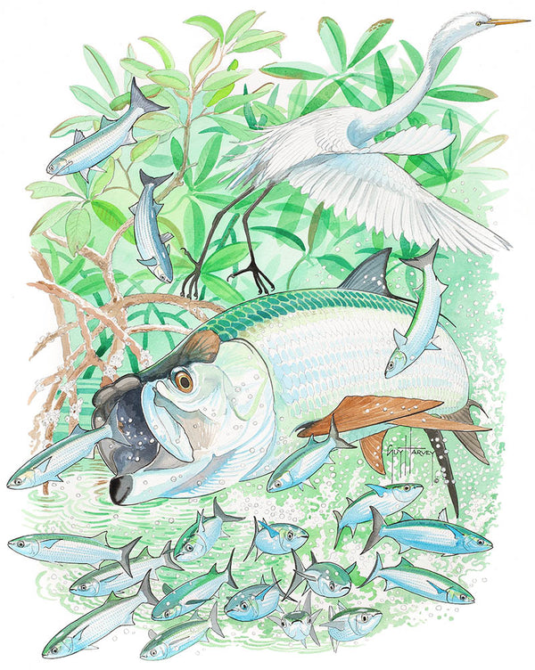"Tarpon and Egret" Original – Guy Harvey