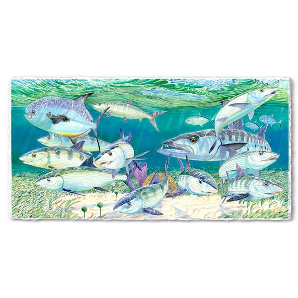 Original Artwork: Marine Wildlife & Fish Art | Guy Harvey – Guy Harvey