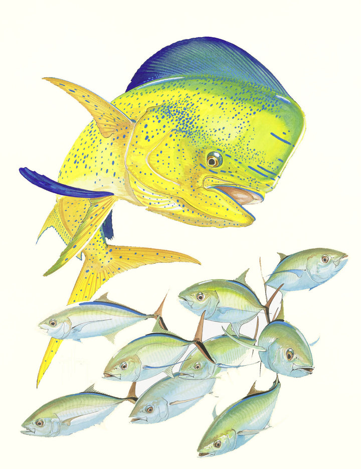 Original Artwork: Marine Wildlife & Fish Art | Guy Harvey – Guy Harvey