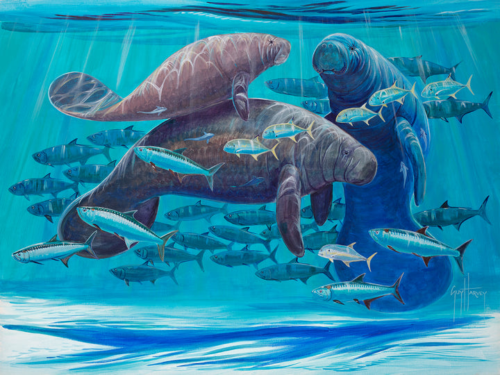 Original Artwork: Marine Wildlife & Fish Art | Guy Harvey – Page 2 ...